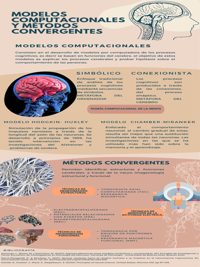 Infografia Modelos Computacionales y Métodos | PDF | Neuroimagen | Neurona