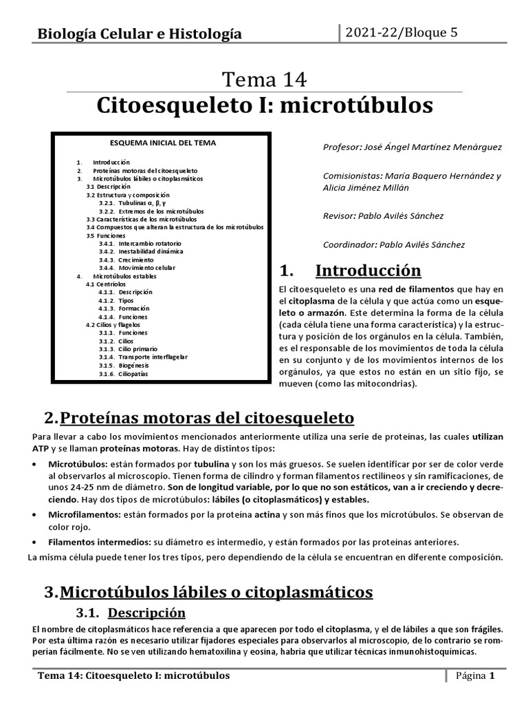 Tema 14 - Citoesqueleto I | PDF | Microtúbulos | Biología Celular)