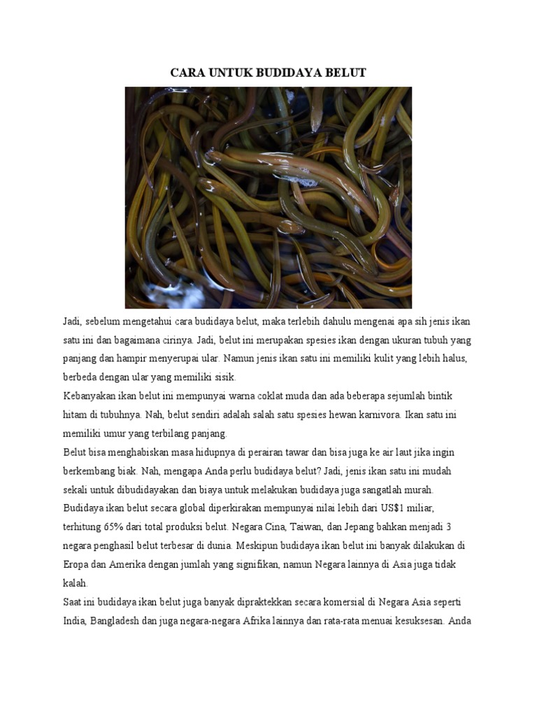 Cara Untuk Budidaya Belut | PDF | Kesehatan Holistik | Teknologi & Rekayasa