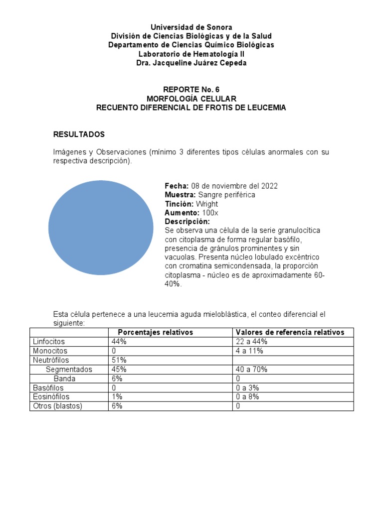 Reporte 6 Morfología Celular | PDF | Leucemia | Hematología