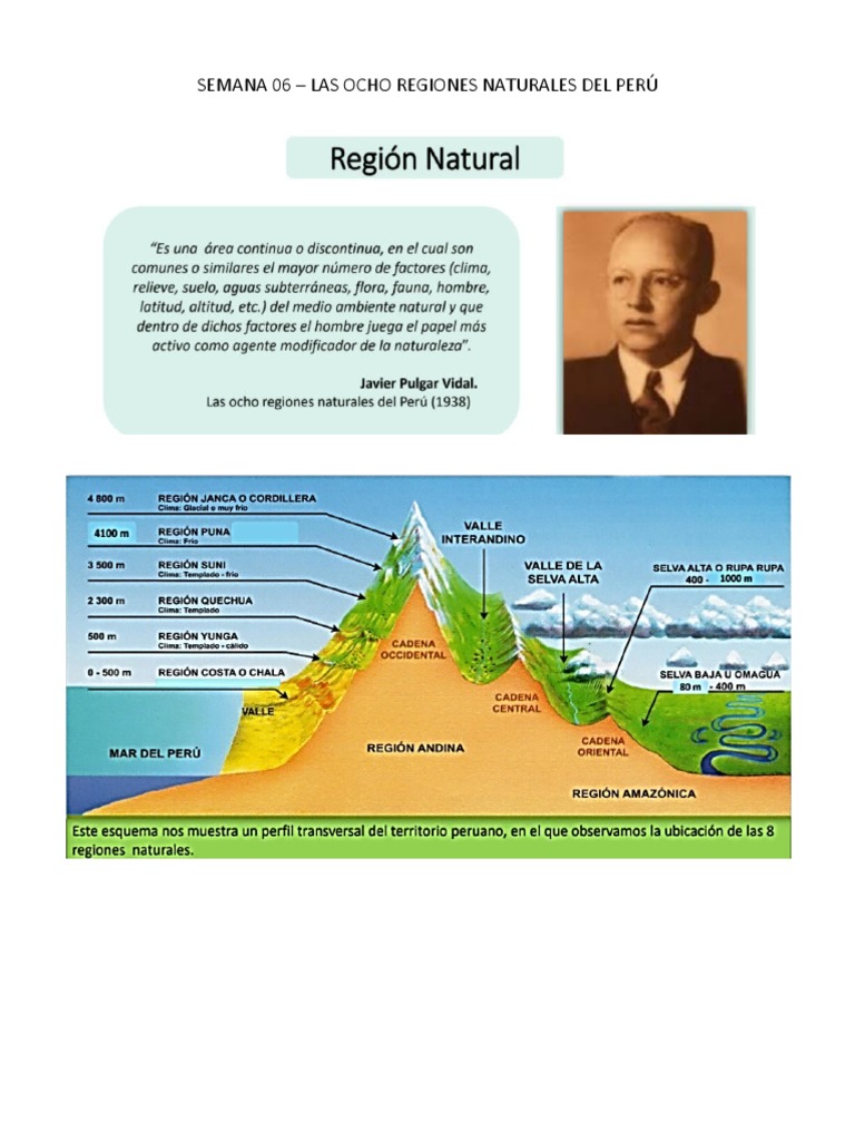 Semana 06 – Las Ocho Regiones Naturales Del Perú | PDF | Clima | Perú