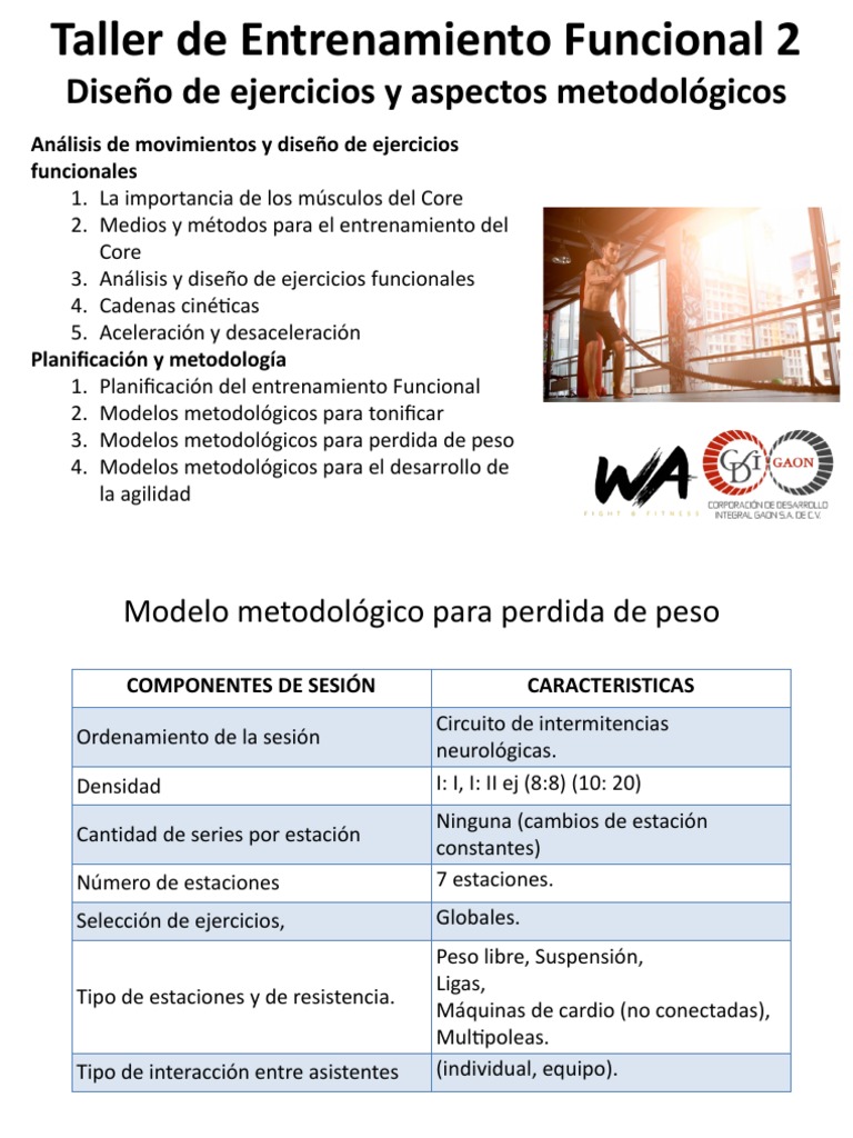 Material Taller Entrenamiento Funcional 2 | PDF