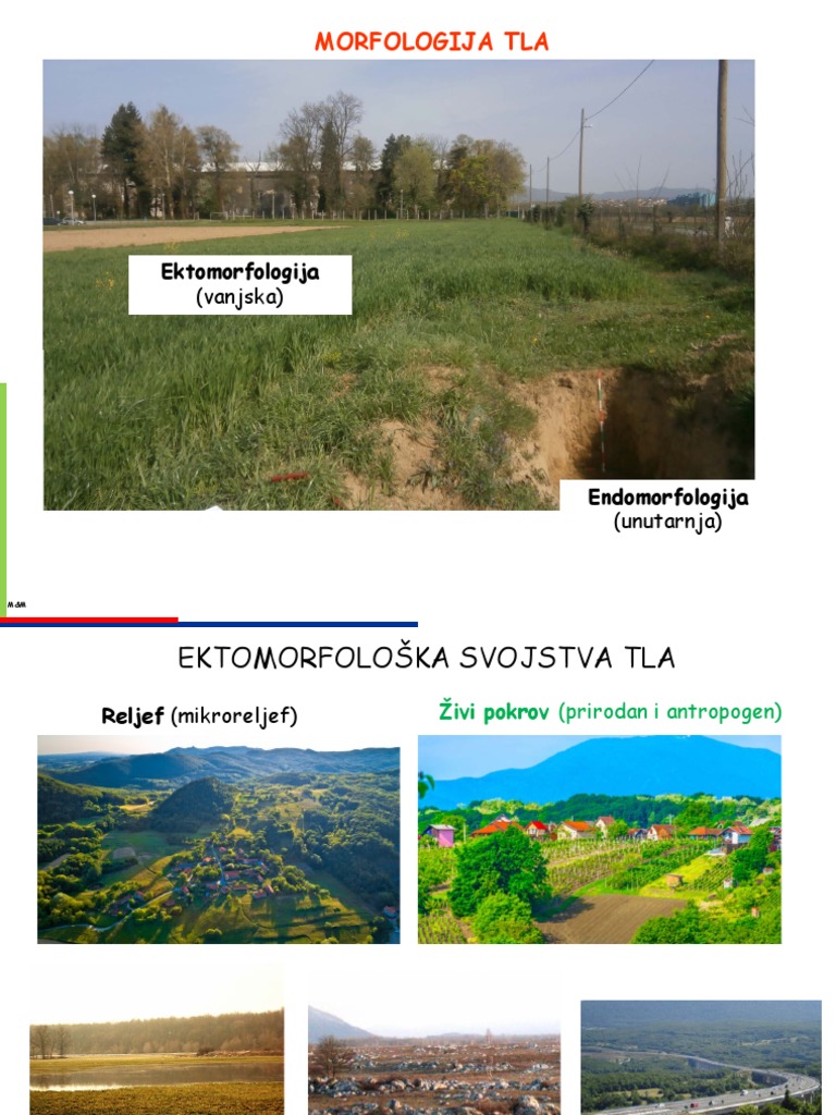 Morfologija Tla | PDF