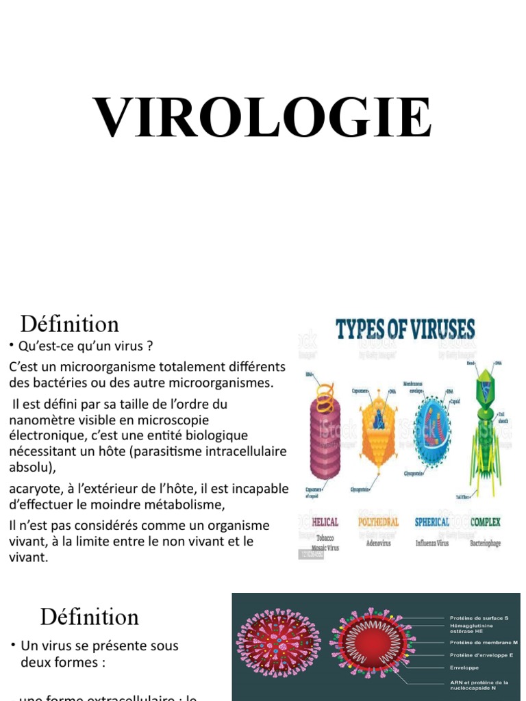 Introduction à la Virologie | PDF | Virus | Cellule (Biologie)
