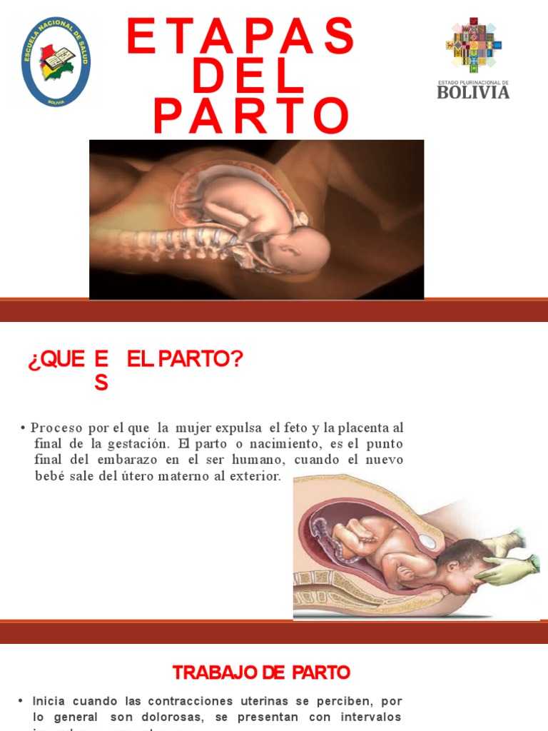 Etapas Del Parto | PDF