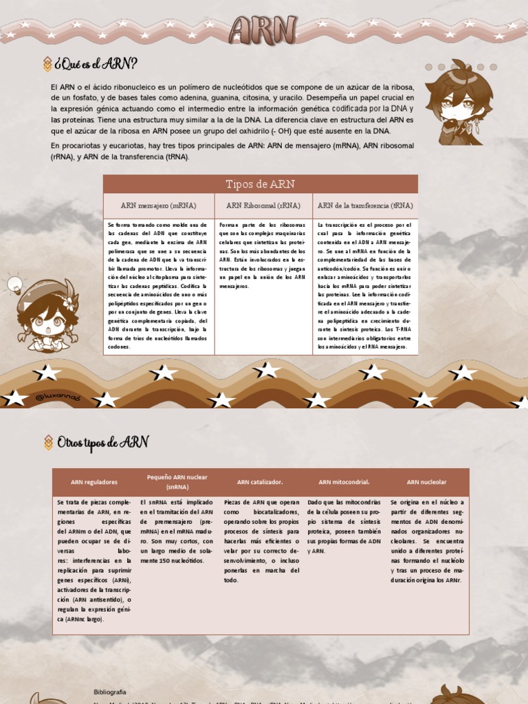 Tipos y funciones del ARN | PDF | Rna | Adn
