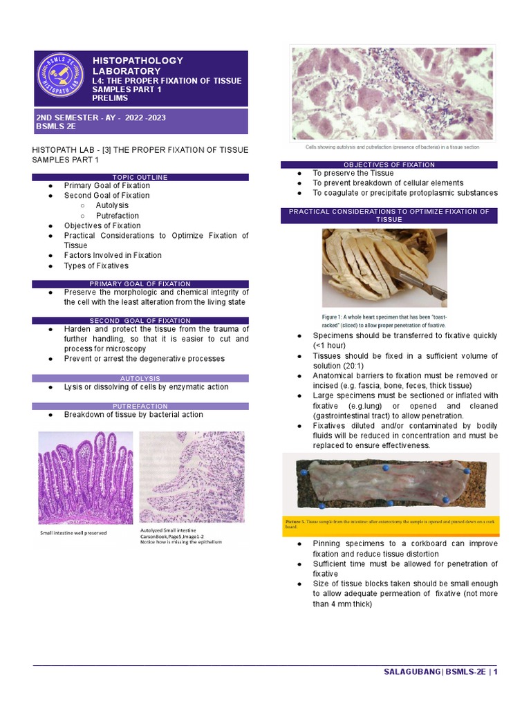 The Proper Fixation of Tissue Samples Part 1 - Histopath Lab - SPC MLS 2e | PDF | Fixation ...
