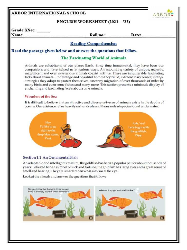 English Worksheet Covering Reading Comprehension and Determiners for ...