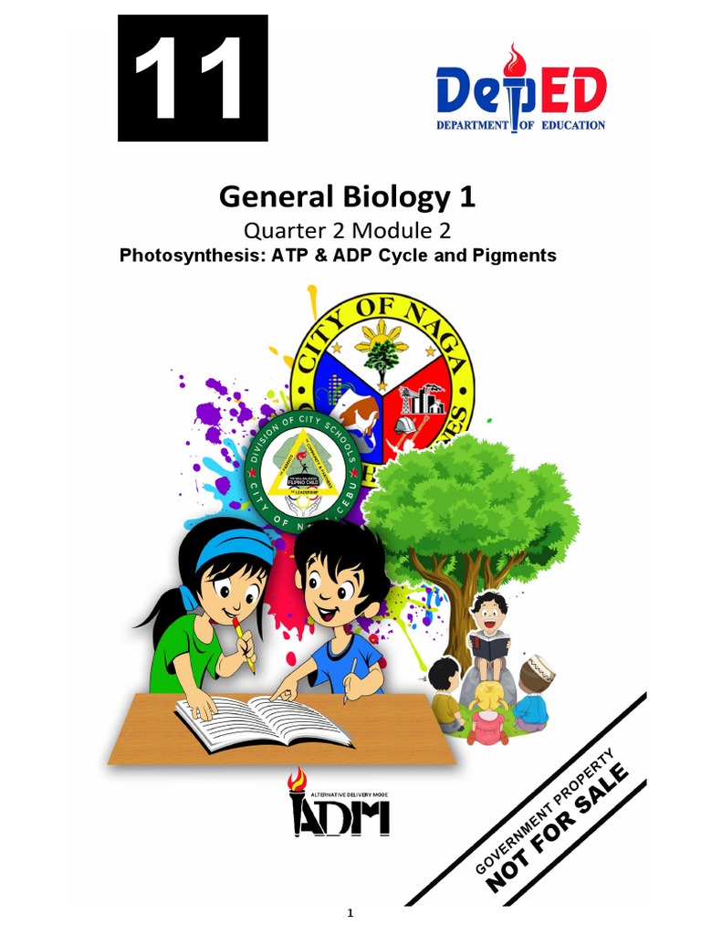 Photosynthesis: ATP, ADP, and Pigments | PDF | Adenosine Triphosphate ...
