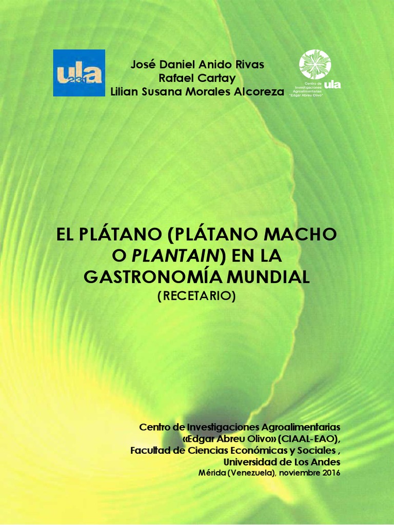 El Platano Platano Macho o Plantain en L | PDF