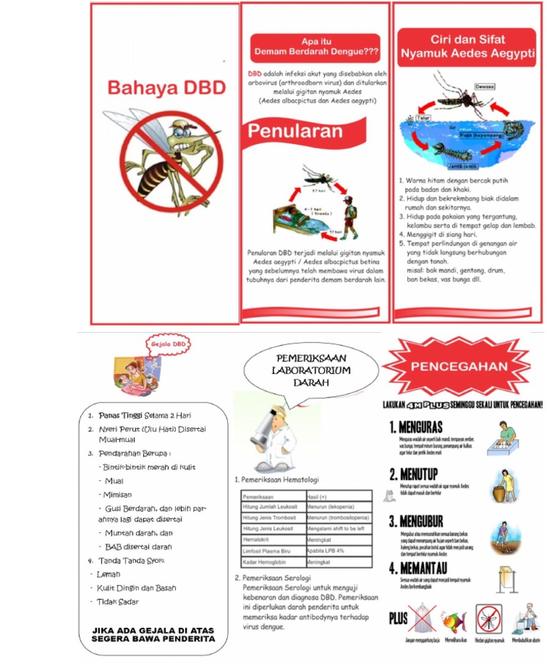 Leaflet DBD | PDF