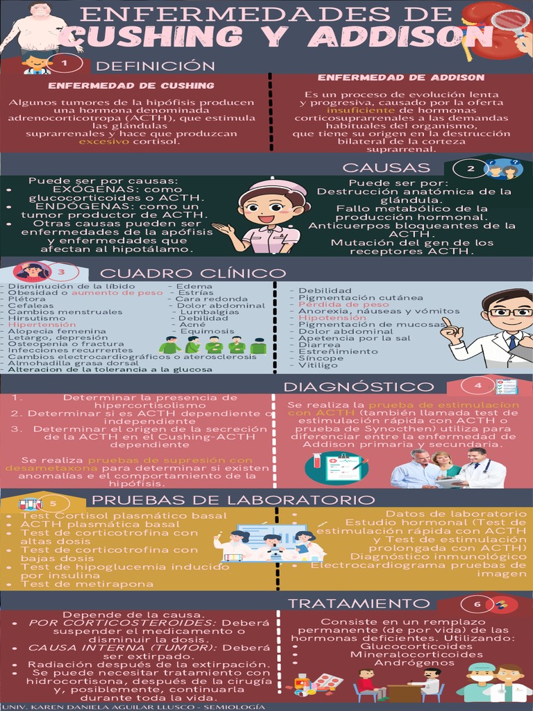 Enfermedades de Cushing y Addison: comparación de sus definiciones ...
