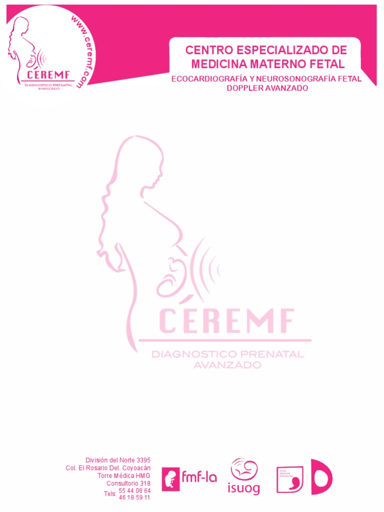 Hoja Membretada Nueva 1a | PDF