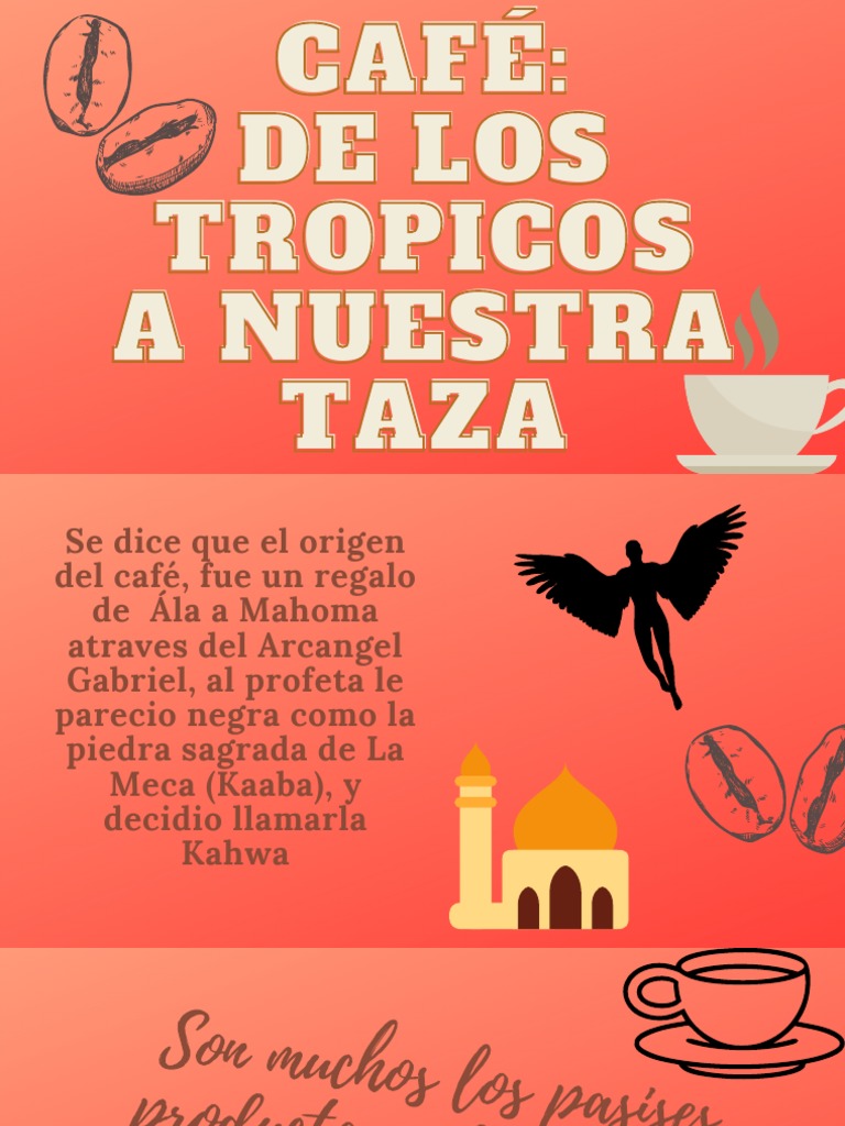 Cafe de Los Tropicos A Nuestra Taza | PDF | café | Preparación de ...
