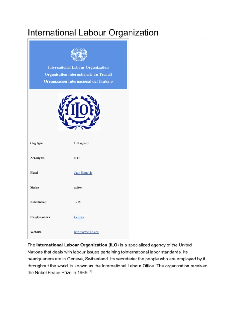 International Labour Organization | PDF | International Labour ...