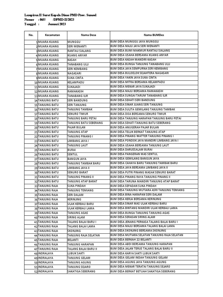 Ogan Ilir Data Bumdes - Ss | PDF