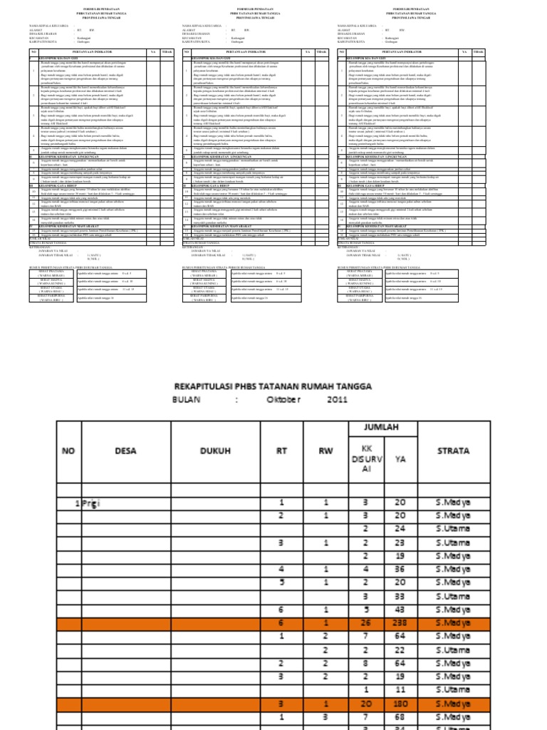 PHBS Tatanan Rumah Tangga | PDF