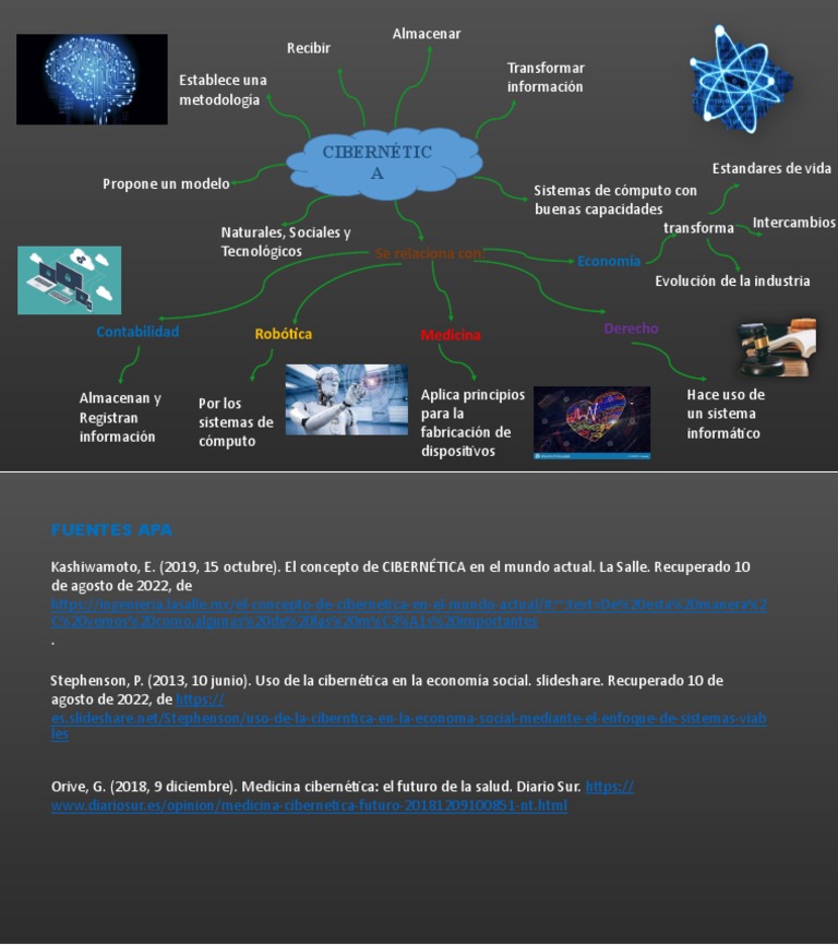 MAPA Mental Cibernetica | PDF