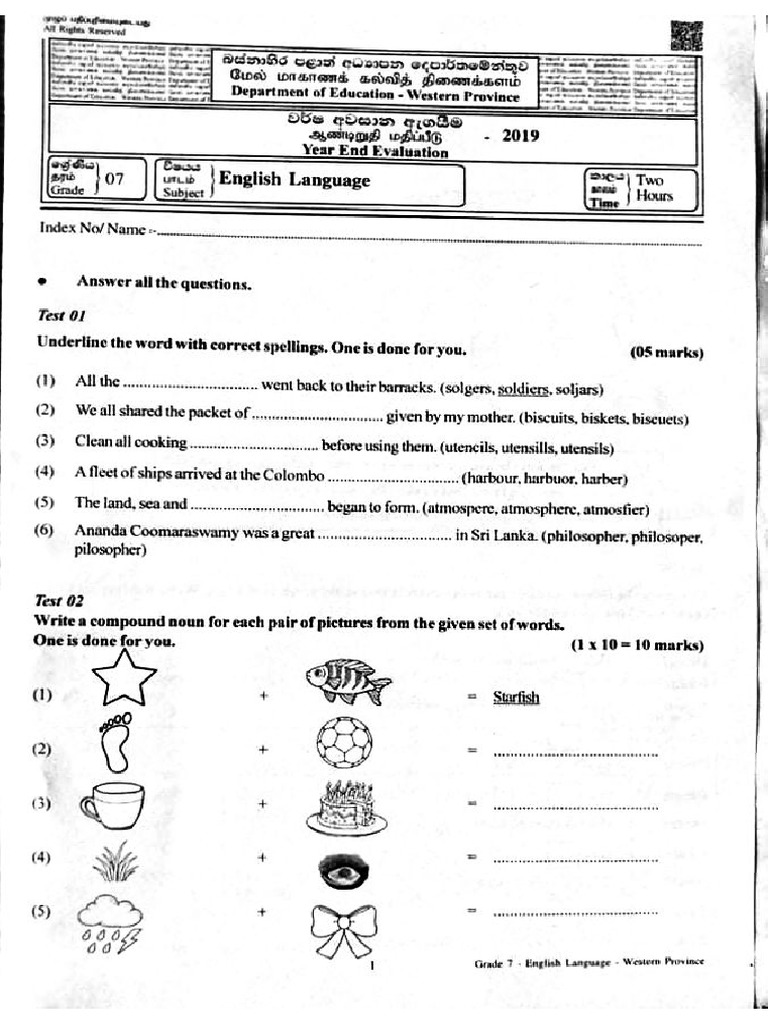 English - Grade 7 - Third Term Test 2019 - Western Province | PDF