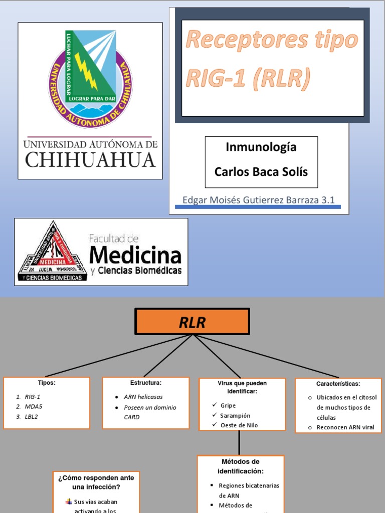 Receptores tipo RIG-1 | PDF