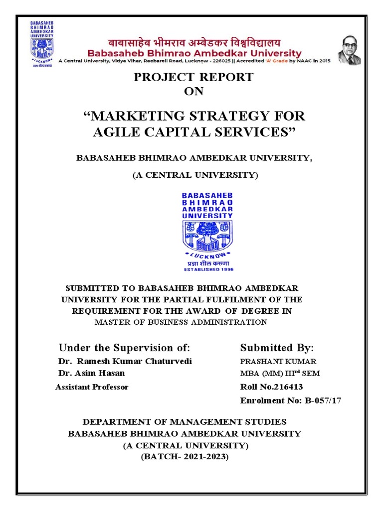 Project Report | PDF | Marketing | Sales