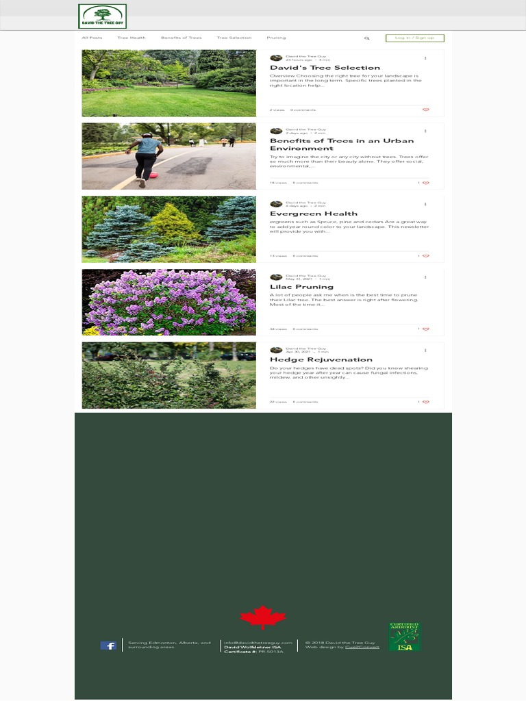 David The Tree Guy | PDF | Pruning | Horticulture