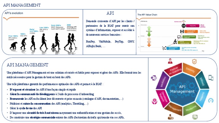 API Management | PDF