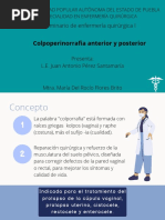 Colporrafia Anterior y Posterior Tecnica Quirurgica PDF | PDF | Cirugía ...