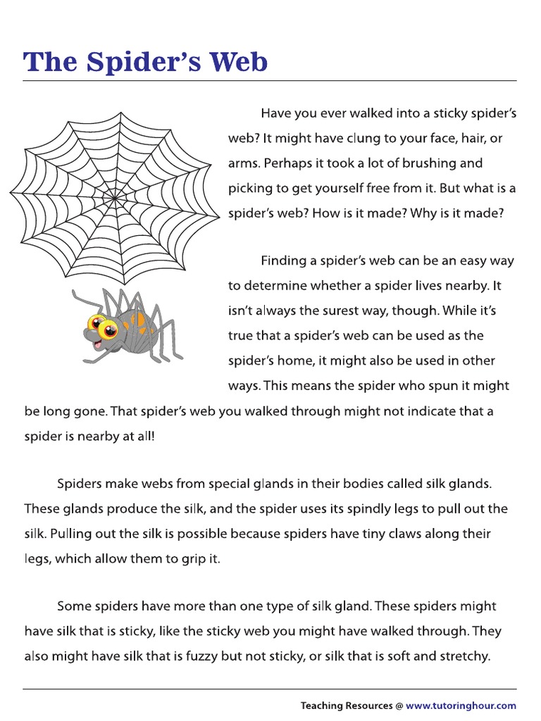 Spiders Web | PDF