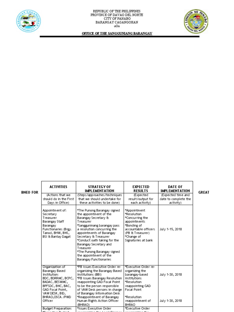 Barangay Cagangohan's BNEO Activities and Strategies | PDF | Economies