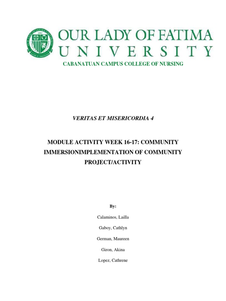 Community Immersion Project Overview | PDF