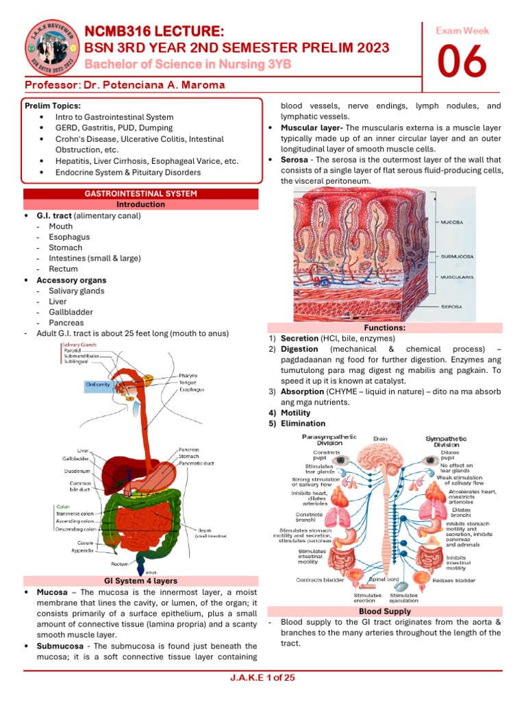 NCMB316 Lec Prelim | PDF | Stomach | Gastrointestinal Tract NCMB316 Lec Prelim | PDF | Stomach | Gastrointestinal Tract