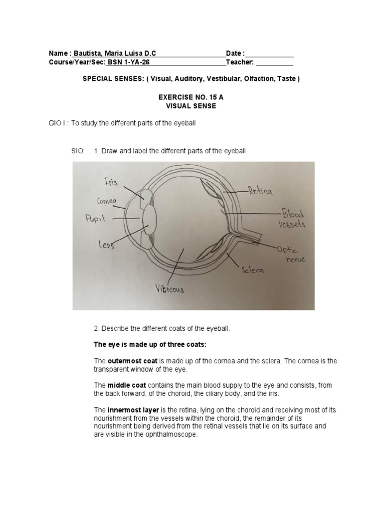 WEEK 16 LABORATORY EXERCISE Special Senses | PDF | Tongue | Taste