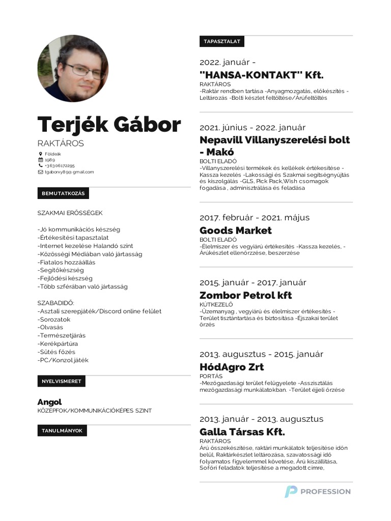 Terjek - Gabor - CV - Végleges | PDF
