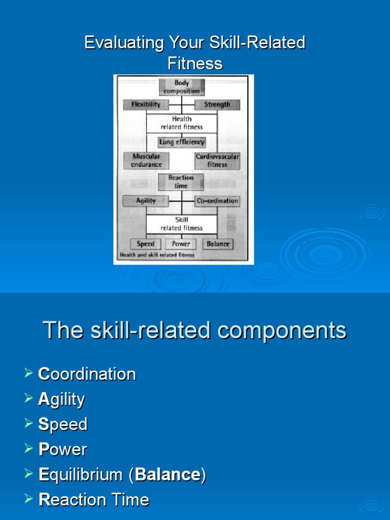 Skill Related Fitness | PDF | Physical Fitness | Balance (Ability)