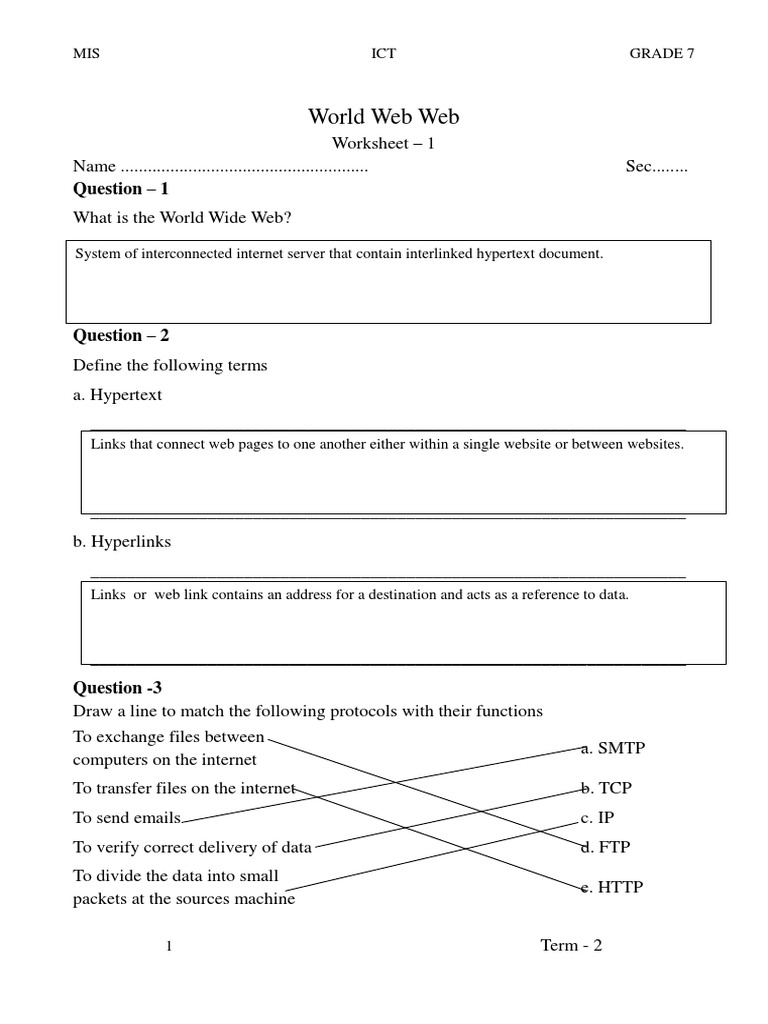 Grade 7 ICT: World Wide Web Basics | PDF | World Wide Web | Internet & Web
