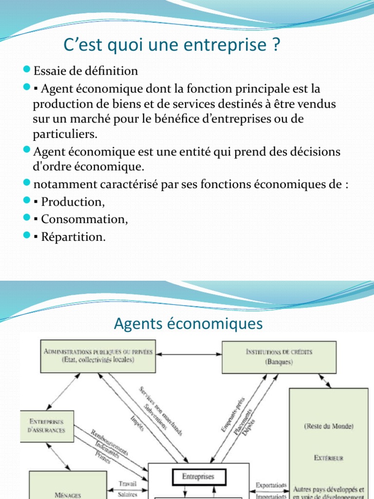 Définition D Entreprise Et Choix Investissement | PDF | Investir | Business