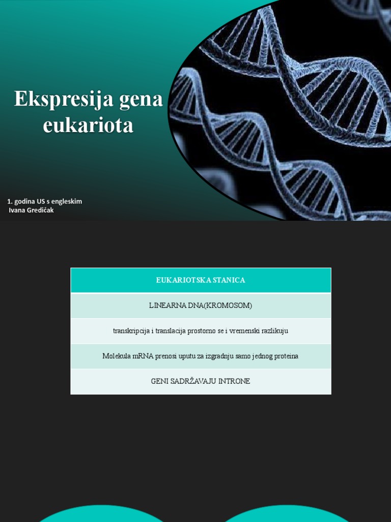 Ekspresija Gena Eukariota | PDF