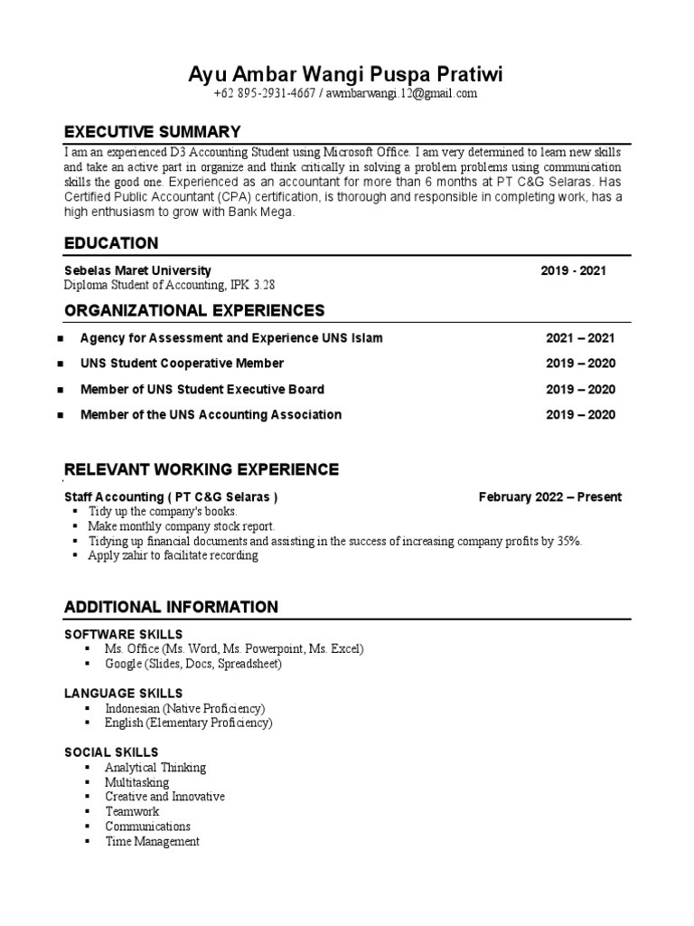 CV ATS English | PDF