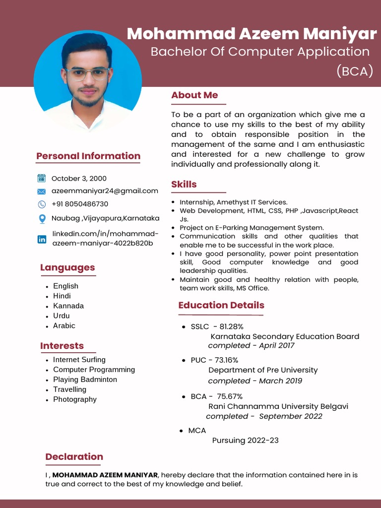 A Concise Resume Highlighting Skills in Web Development, Project Management, and Strong ...