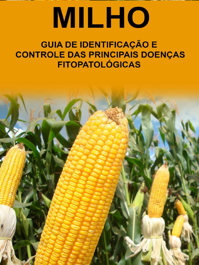 Milho - Controle de Doenças | PDF | Fungo | Milho
