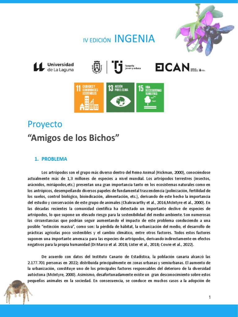 Proyecto Bichos | PDF | Insectos | Entorno natural