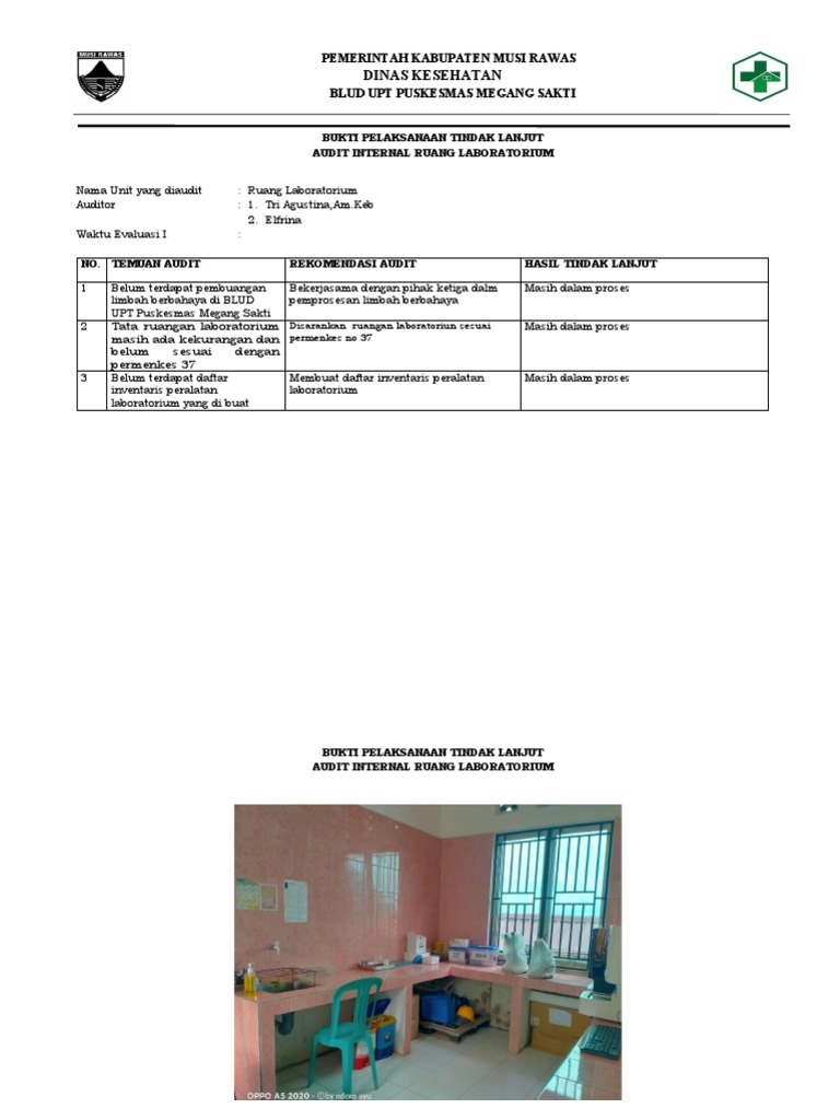 Audit Internal Laboratorium Puskesmas | PDF