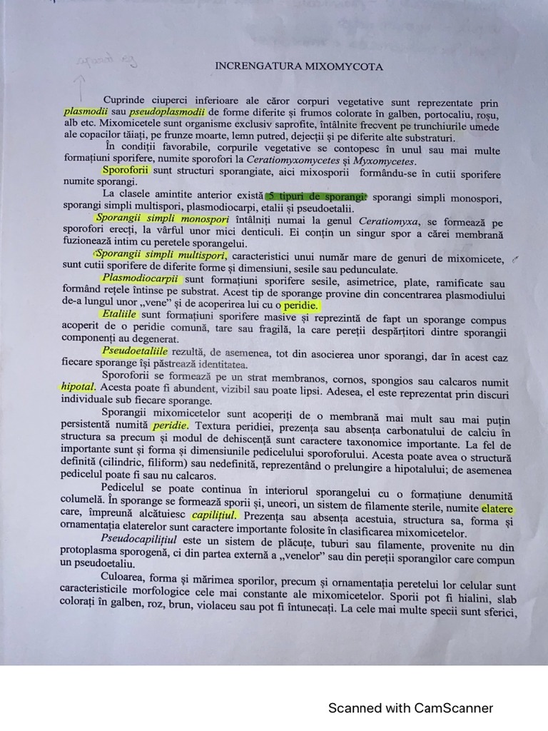 Colocviu Micologie | PDF