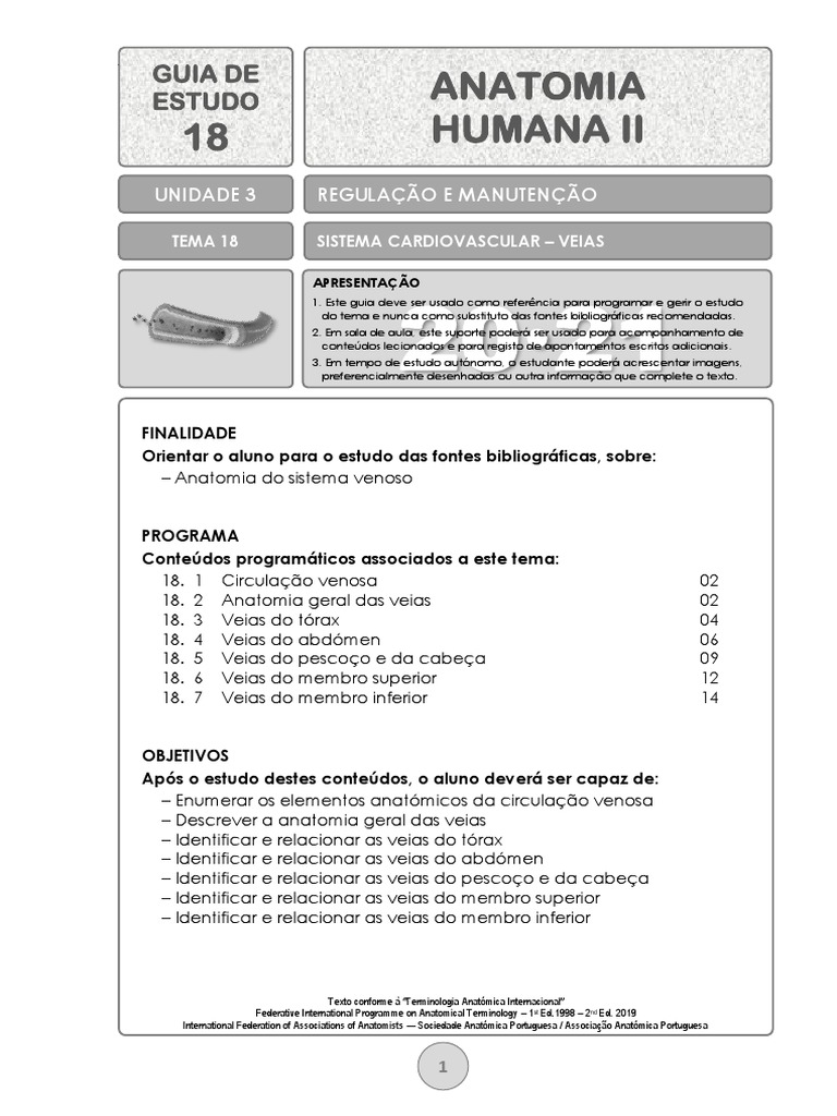 GE Tema 18 | PDF | Artéria | Anatomia animal