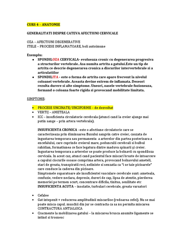 Curs 4 - Anatomie | PDF