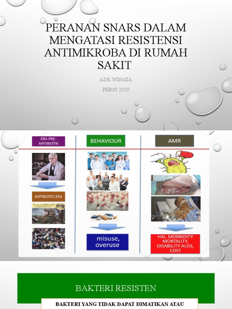 DR - Ade Winata - Peran Snars | PDF | Sains & Matematika