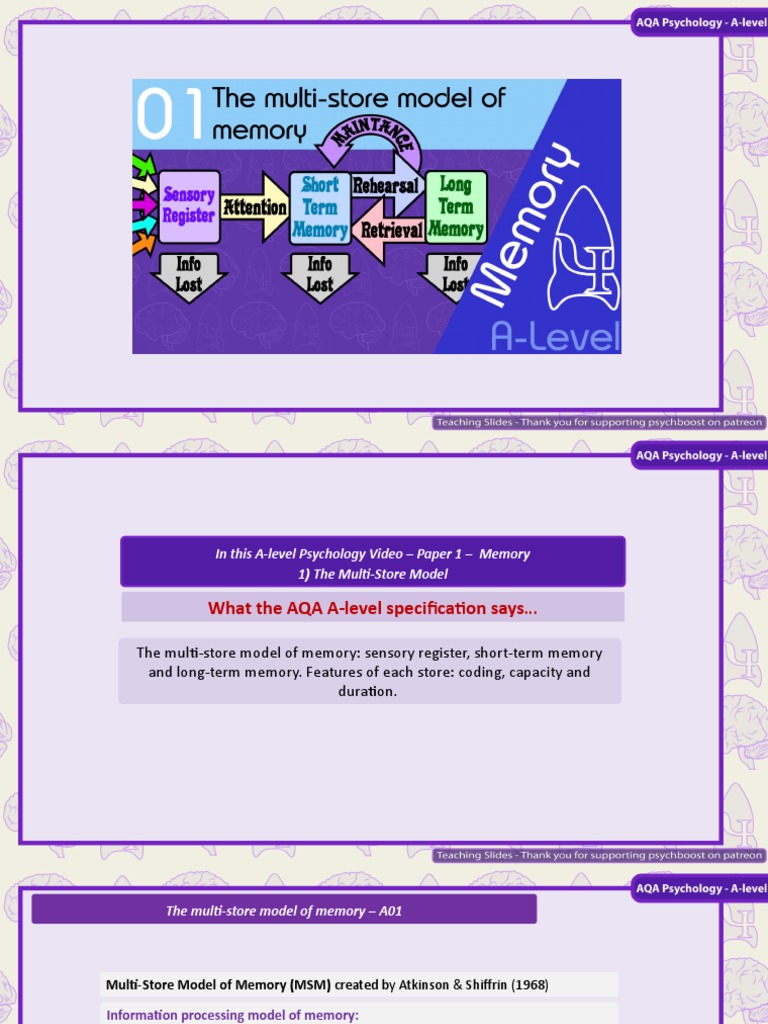 2.1-Memory-Multi-store-model - Psychology A Level Aqa | Download Free PDF | Memory | Recall (Memory)