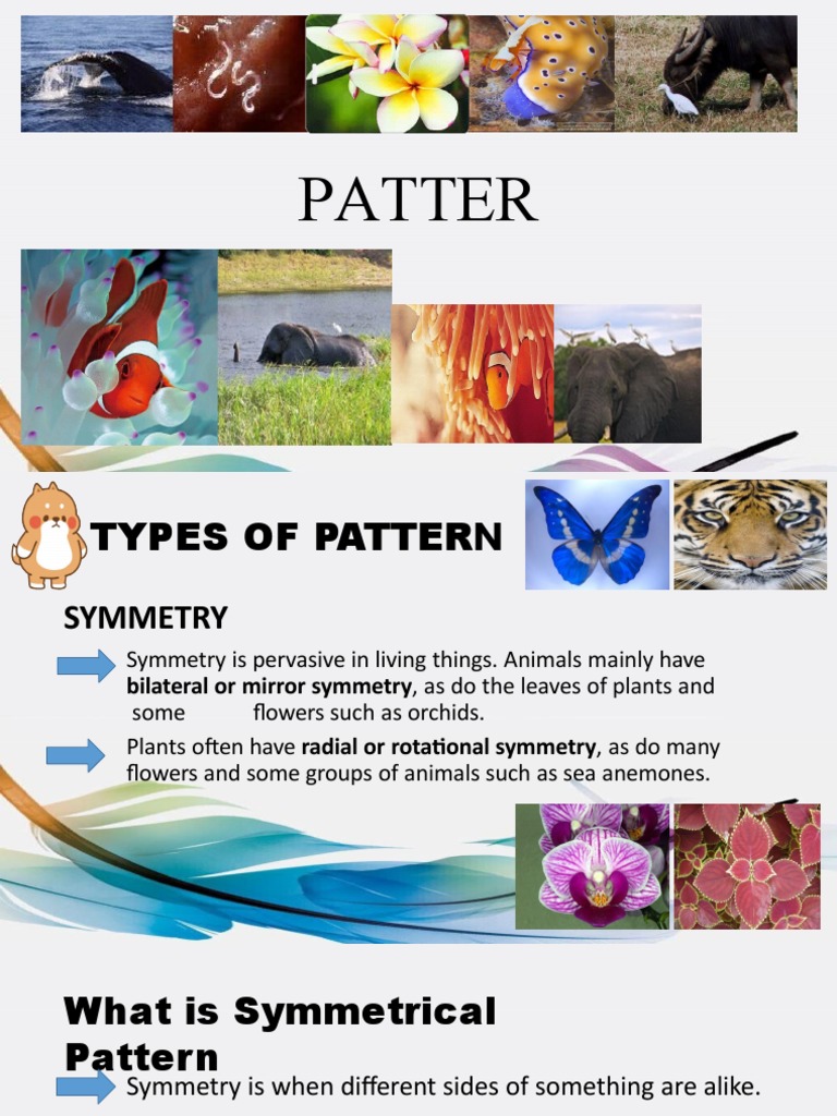 Math 101-Patterns | PDF | Pattern | Geometry