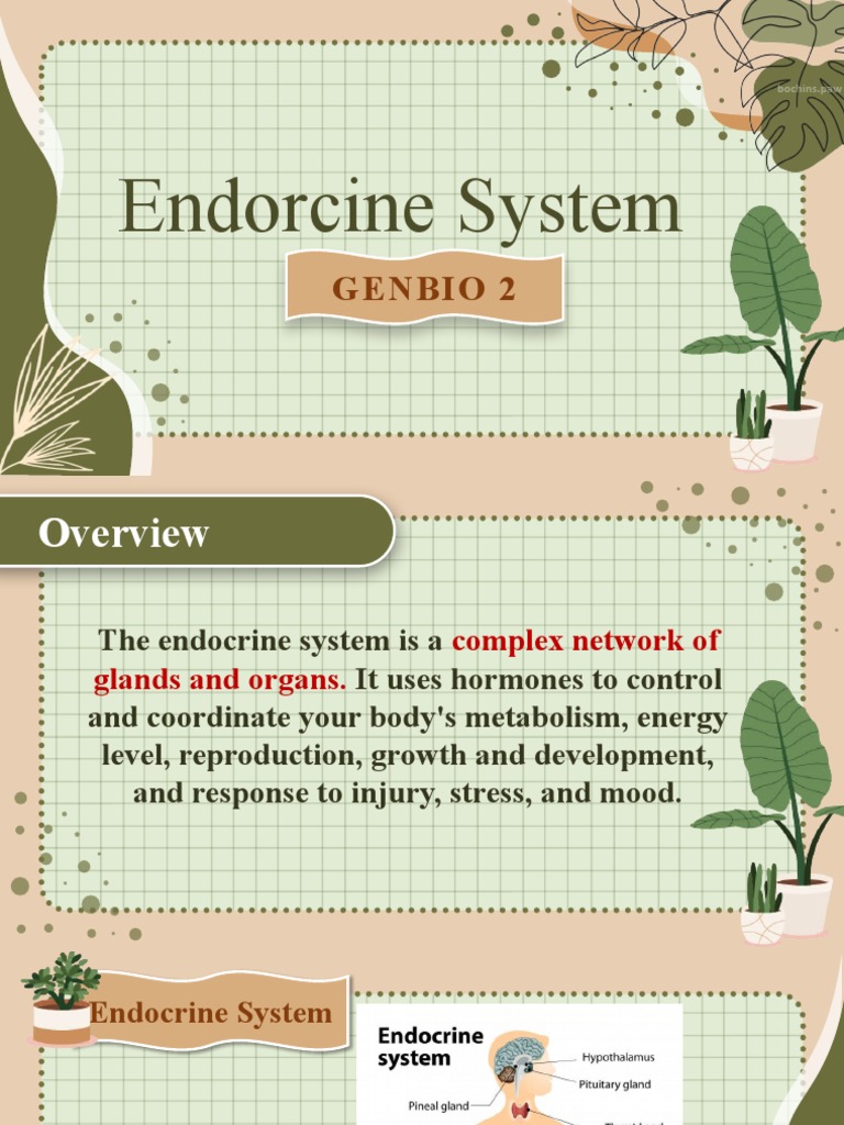 Genbio 2 | PDF | Endocrine System | Pituitary Gland
